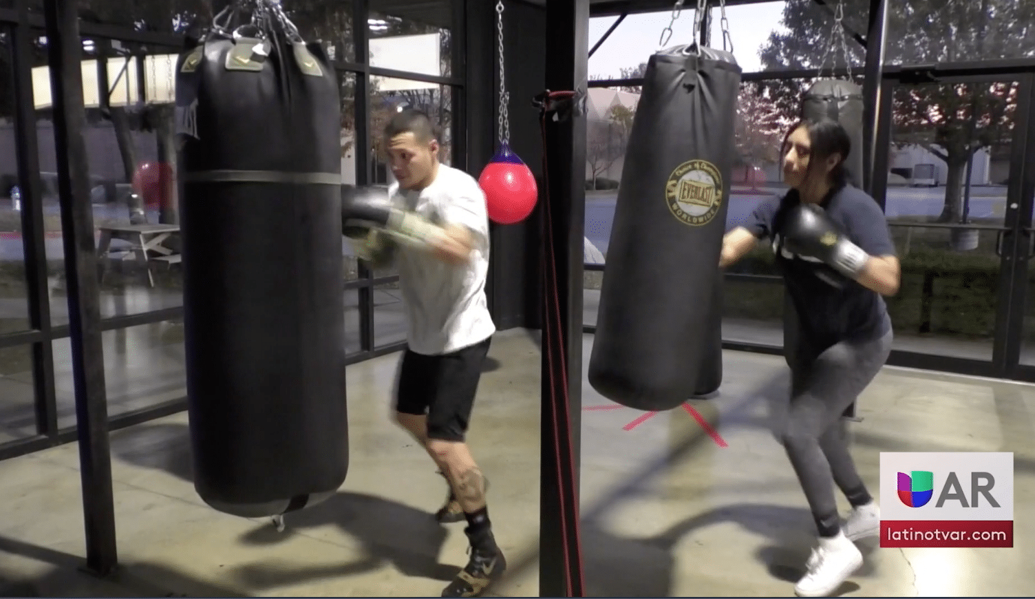Rutinas de ejercicio en el boxeo - Univision Arkansas