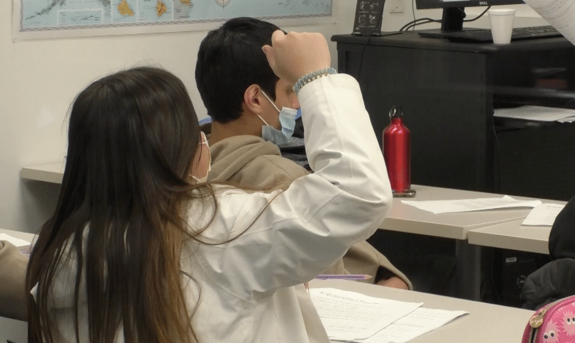 Spring International, escuela de lenguaje que ayuda a personas a ...