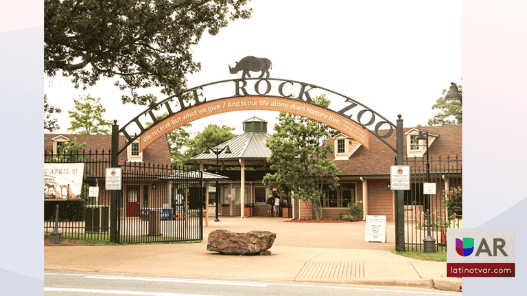 Entrada al Zoológico por $1 Dólar - Univision Arkansas